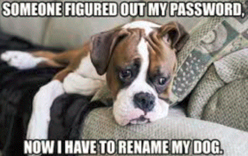 31 Funny But Sad Security Memes | Internxt Blog